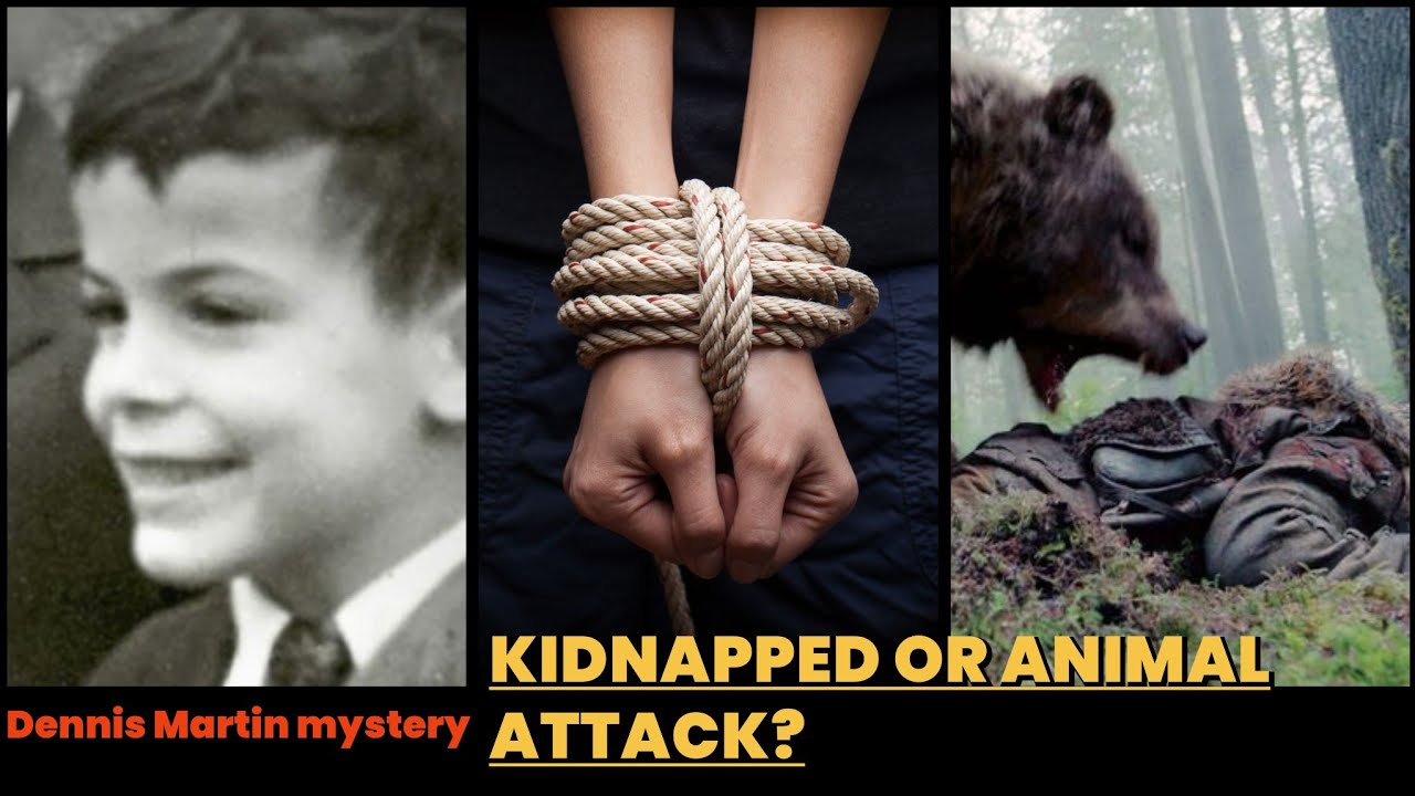 Dennis Martin: The Boy Who Vanished Without a Trace - YouTube
