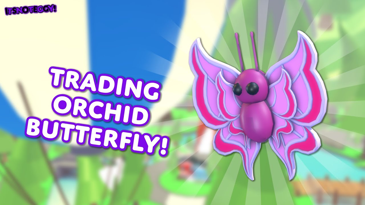 What trades can I get for an ORCHID BUTTERFLY?! 👀🦋Adopt Me! (Roblox ...