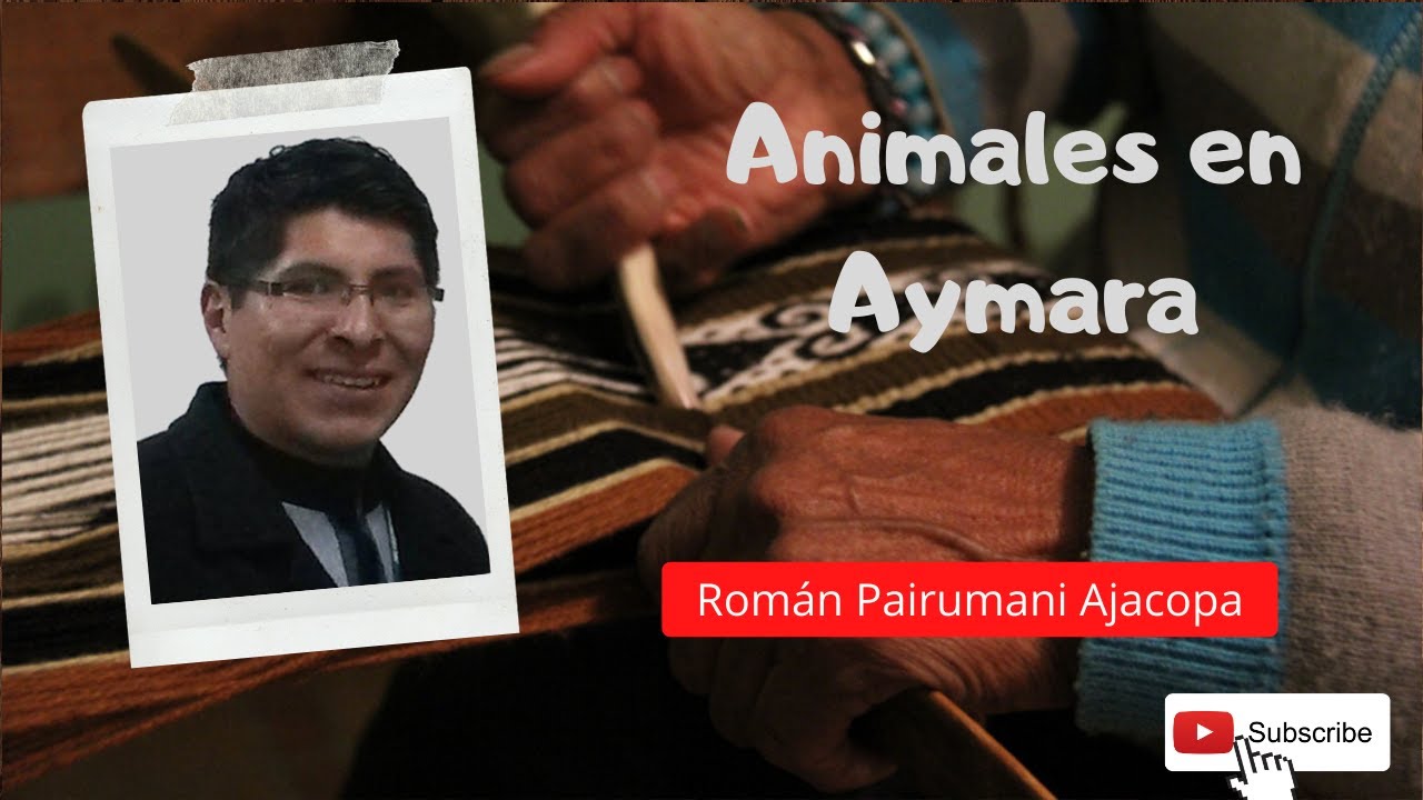 Curso del idioma Aymara: Animales en aymara - YouTube