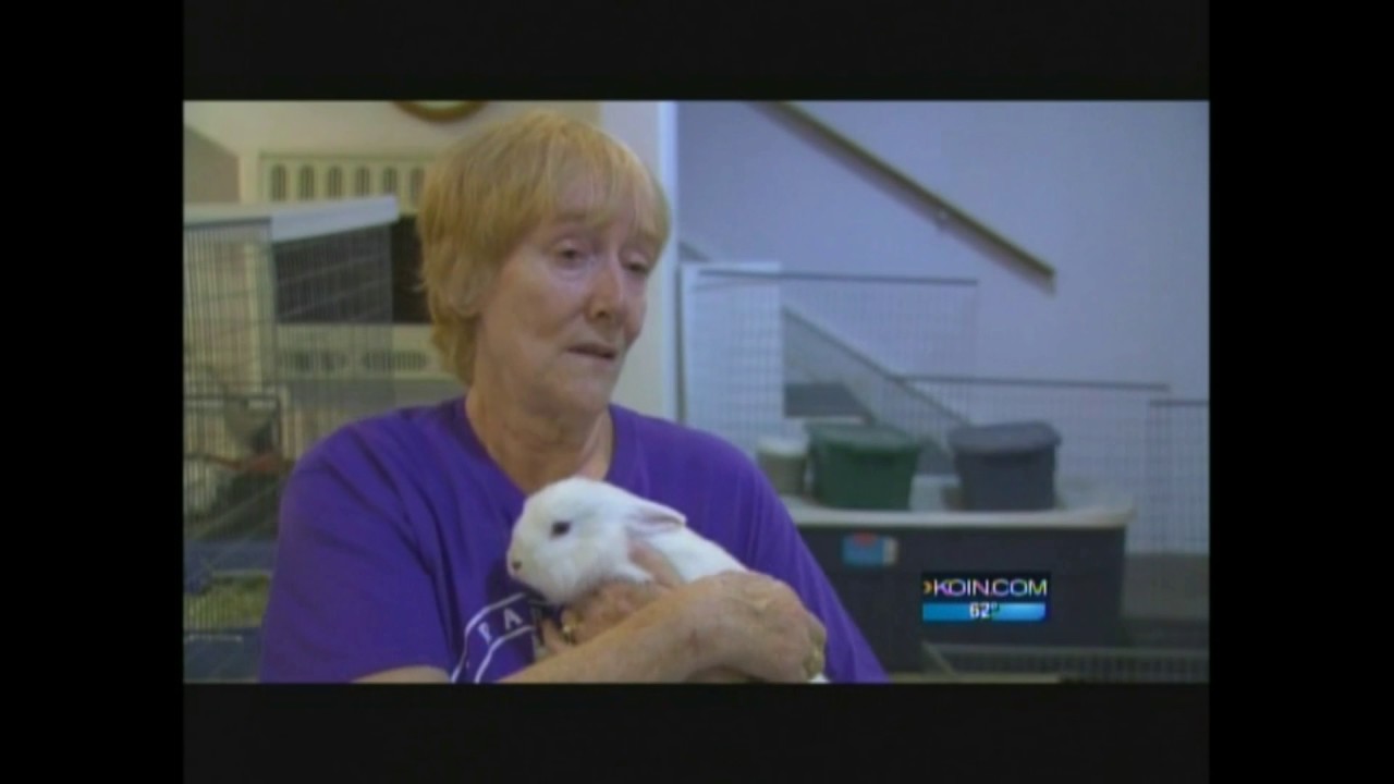 Rabbit Advocates rabbit rescue on the Springwater Trail, October, 2016 ...