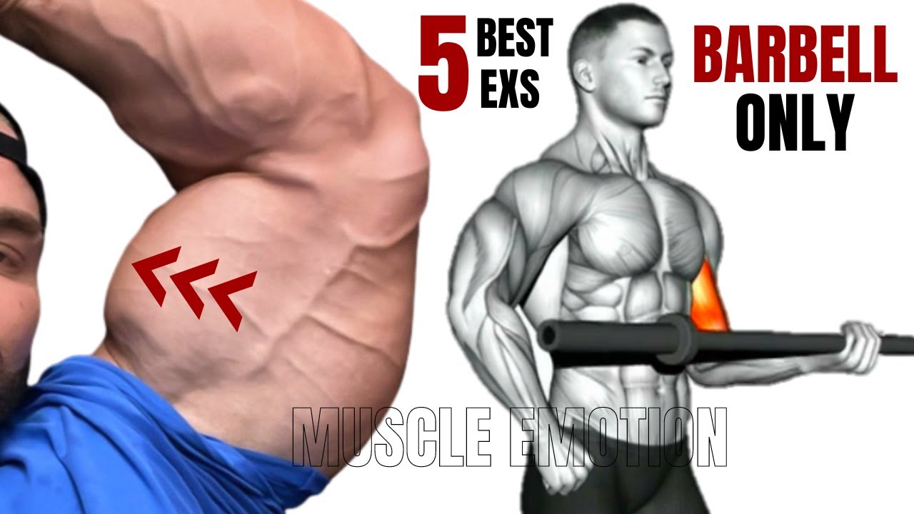 5 BEST BICEPS WORKOUT WITH BARBELL ONLY AT GYM - YouTube