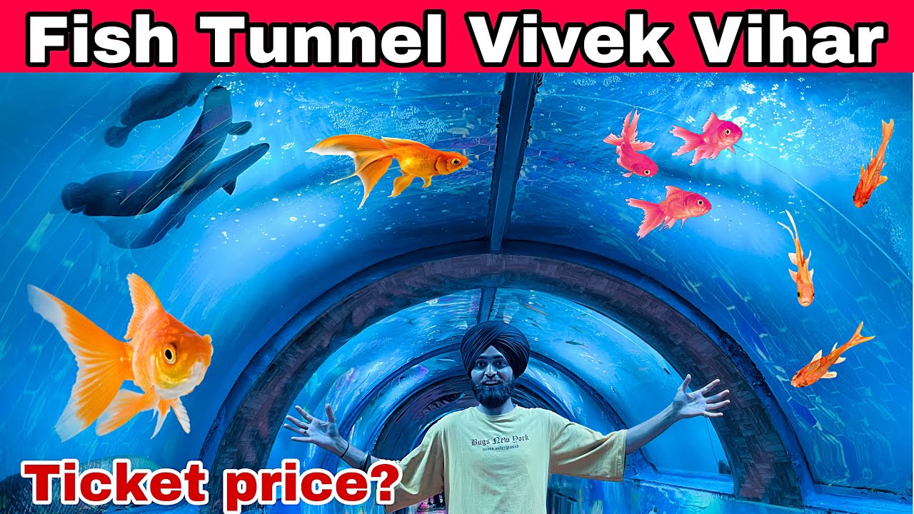 Fish Tunnel aquarium Vivek Vihar mela / Vivek Vihar summer carnival ...