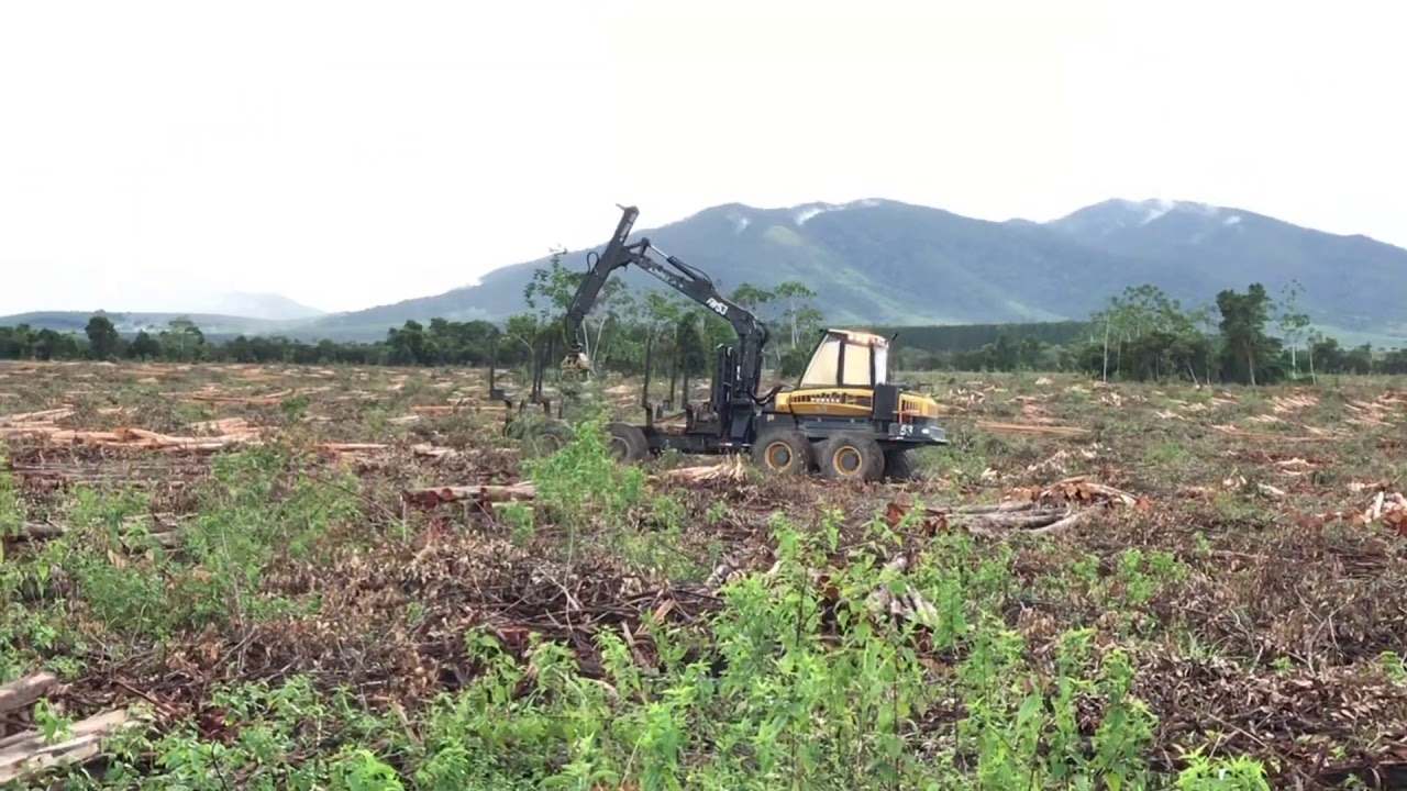 Baldeio FW 53 - módulo 1 - Eunapolis - YouTube