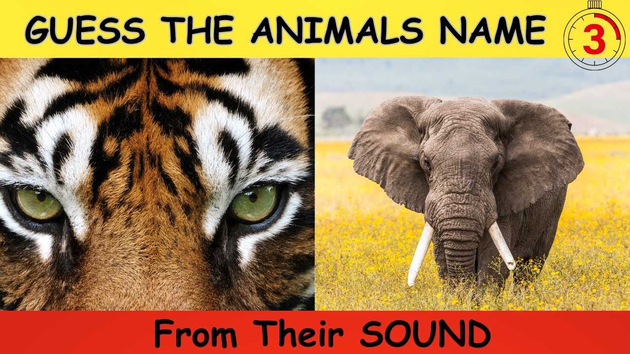 Guess Animals Name from Their Sound | Quiz for kids | Animals name with ...