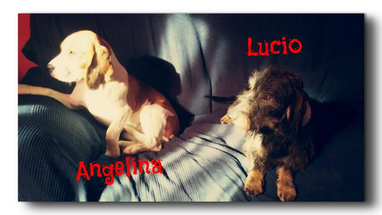 Angelina&Lucio: un pomeriggio da colorare assieme / FINALE a sorpresa ...