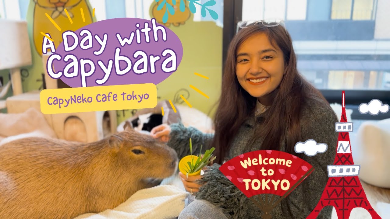 Meeting Tokyo's Friendliest Capybara | Capy Neko Cafe Tokyo, Japan ...
