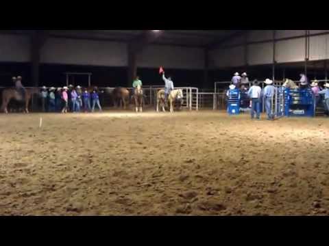 FMHS Steer Undecorating (Sarah) - YouTube