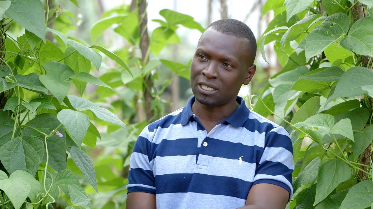 Shamba Shape Up Uganda Series 3 - Ep 3: Soil tests, Coffee, Macadamia ...