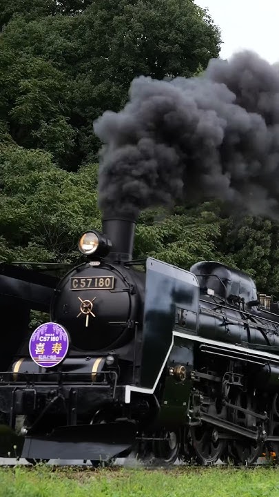 【4K縦動画】C57-180 SLばんえつ物語 五十島ストレート爆煙！JR East Railway Steam locomotive class C57 'Banetsu ...