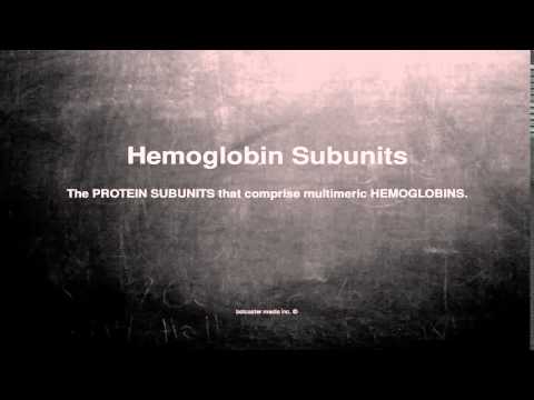 What Does Hemo Mean In Science