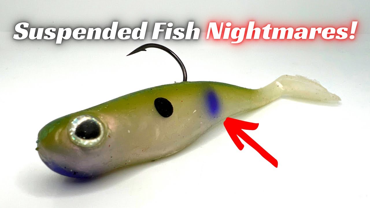Suspended Fish Can Be A NIGHTMARE To Catch! But Not With These Baits ...