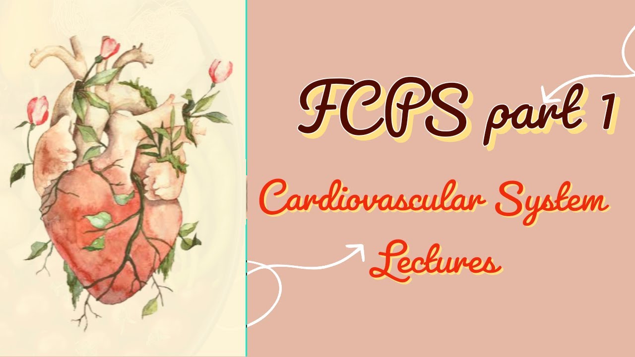 FCPS 1 CVS lecture 10 CARDIAC CYCLE easiest explanation - YouTube