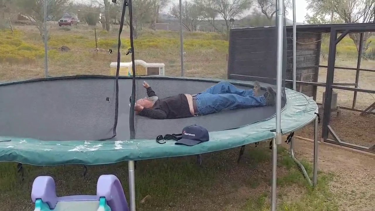 Old man trampoline backflip - YouTube