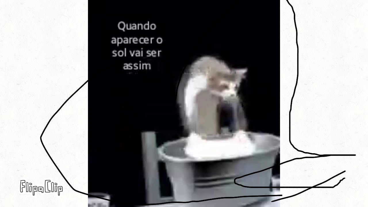 Anima word - YouTube