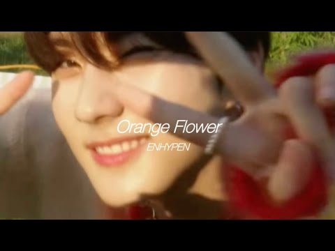 和訳 Orange Flower (You Complete Me) / ENHYPEN - YouTube