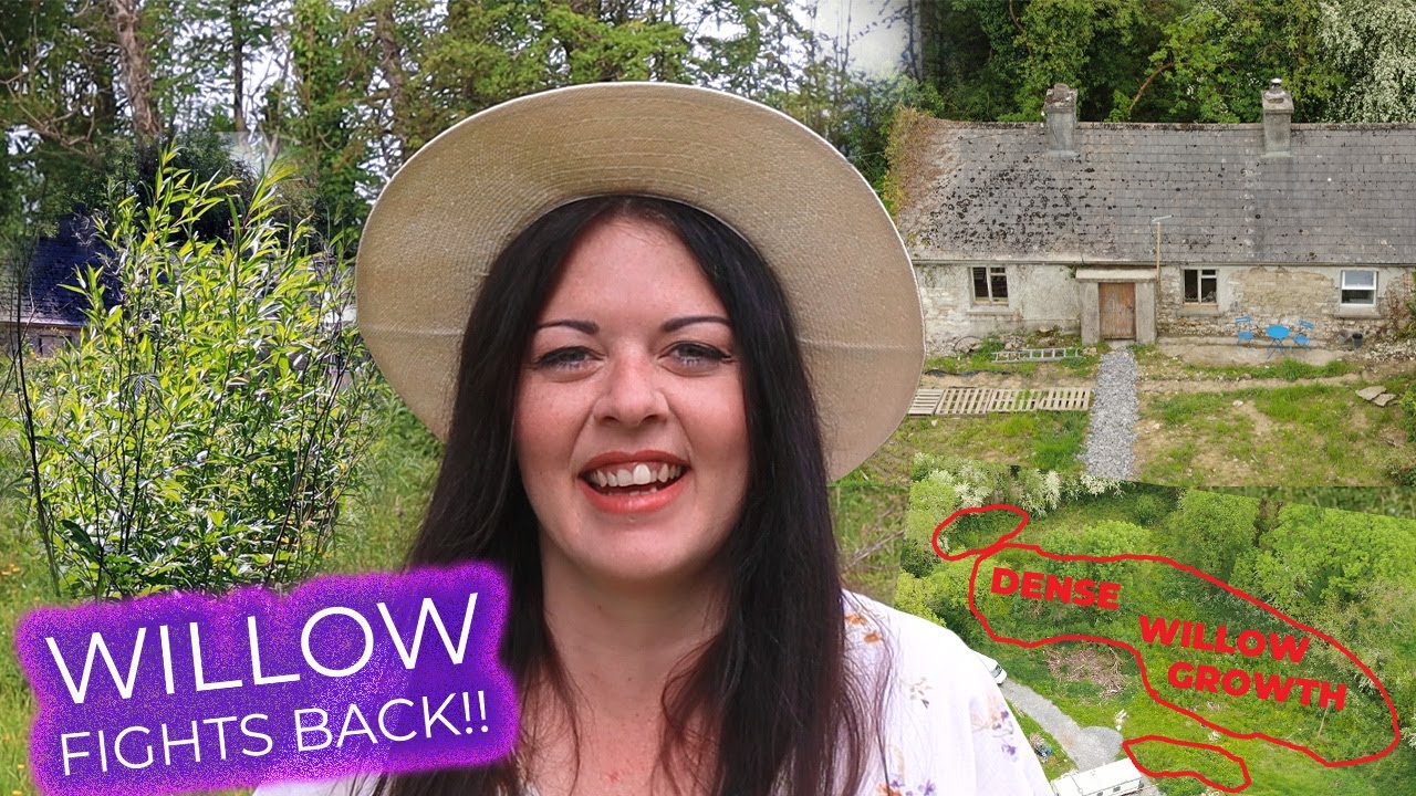WILLOW REMOVAL at Our Derelict Cottage (+5k subs!!!) - YouTube