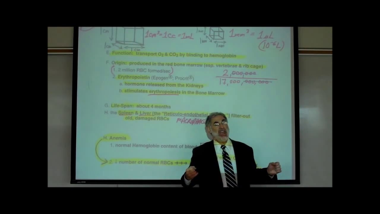 HEMATOLOGY; PART 2 by Professor Fink.wmv - YouTube