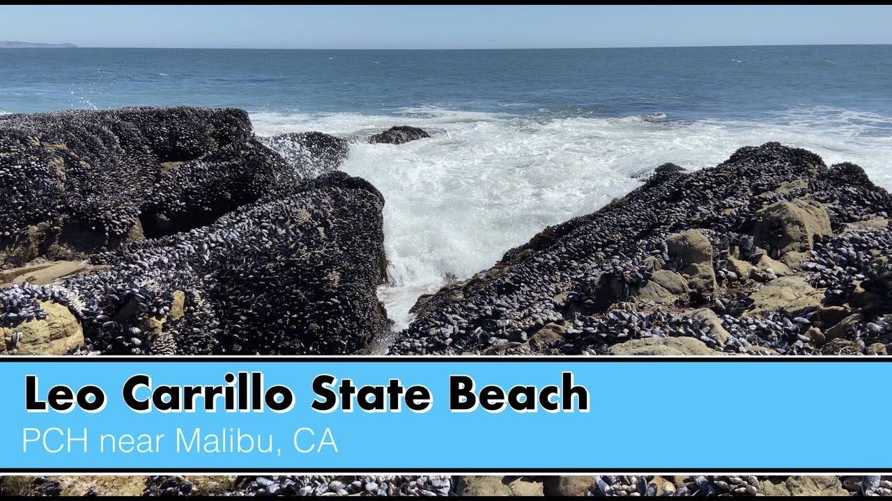 Leo Carrillo State Beach and Sea Caves - A Great Stop on PCH north of ...