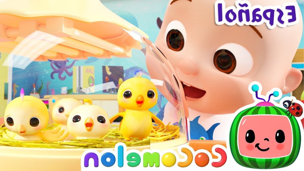 CoComelon en Español | Aprendiendo los Los números | Canciones ...