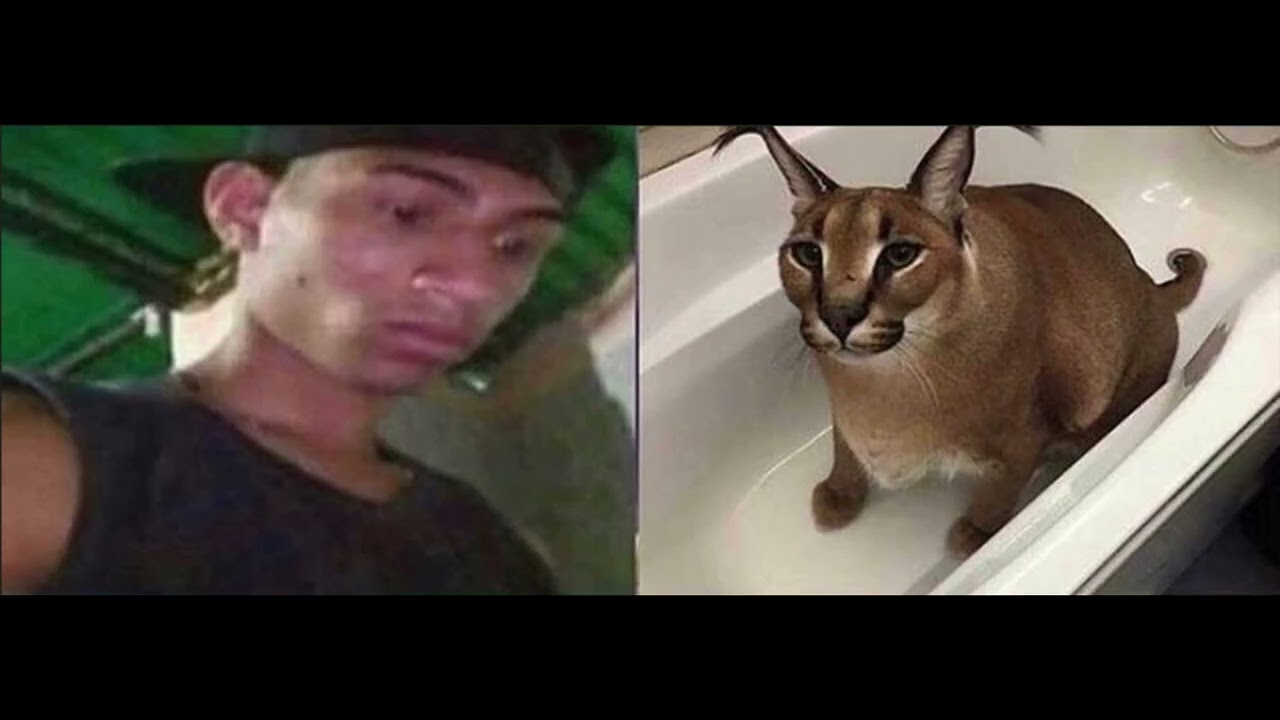 Floppa Sus - YouTube