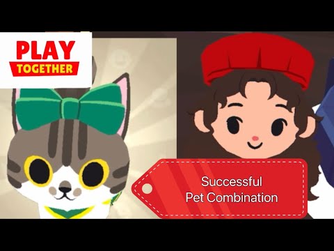 HOW TO COMBINE PETS IN PLAY TOGETHER - YouTube