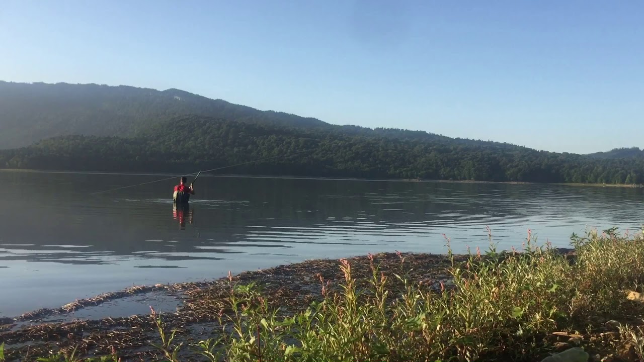 Tevzaoba shaorze 2019 - YouTube