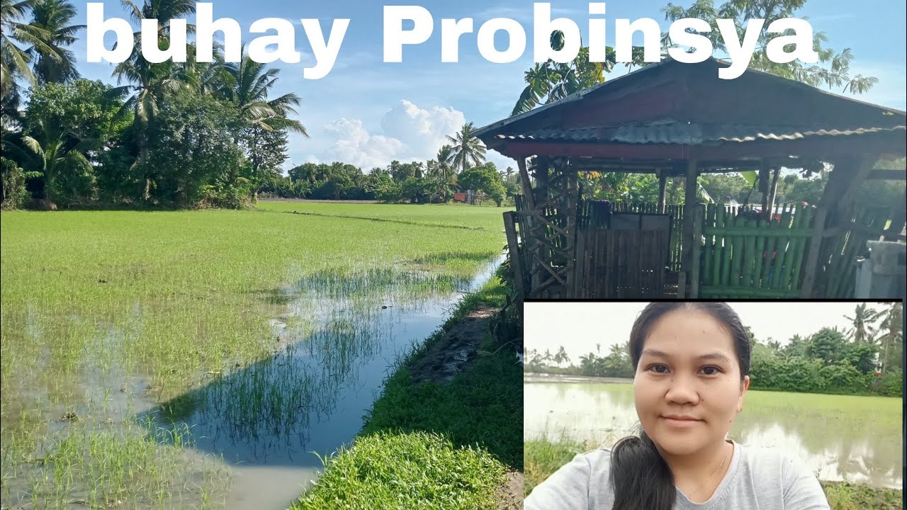 Buhay Probinsya, samahan ko si mudra puntahan at pakainin ang kanyang ...