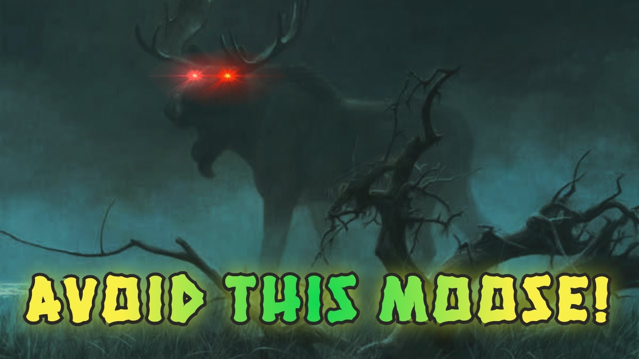 The Specter Moose - Maine's Spirit Animal? - YouTube