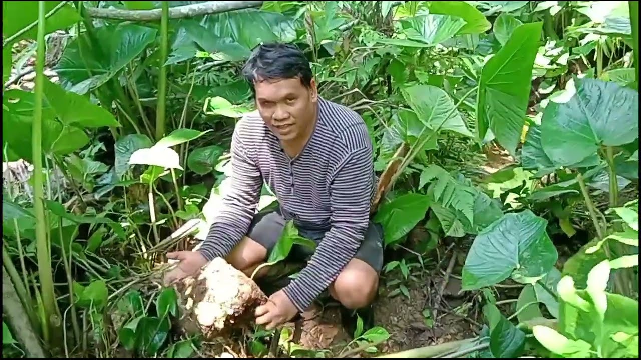 Mabuhay ang lahat ng magsasaka ang kasaganahan ay nasa iyung mga kamay ...