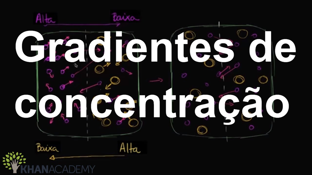 Gradientes de concentração | Membranas e transporte | Biologia | Khan ...