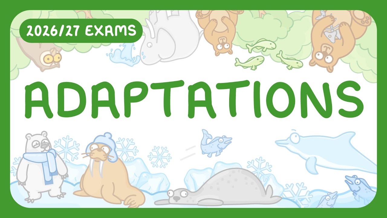 GCSE Biology - Adaptations | Structural | Behavioural | Functional ...