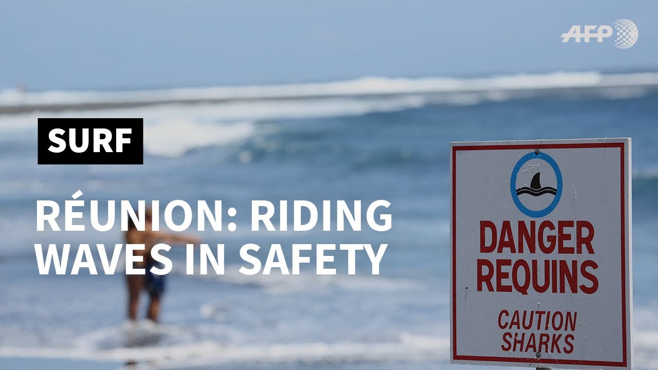 Réunion: sharks and surfers vie for control of the waters | AFP - YouTube