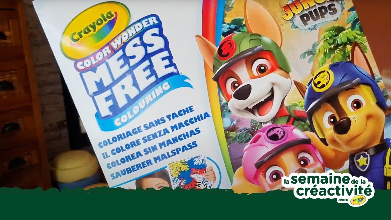 Colorier avec le kit Color Wonder Pat'Patrouille Crayola ! 🎨🐕 - YouTube
