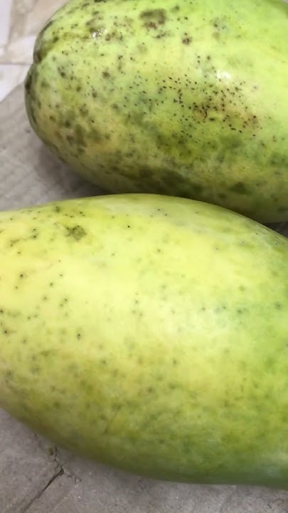 #Shorts xoài | dung an suong | dung an suong travel - YouTube