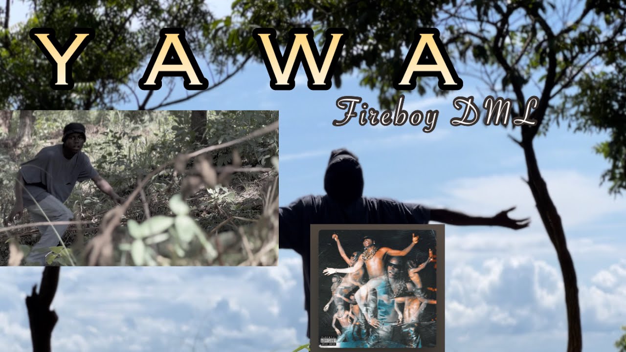 Fireboy DML - Yawa (official Dance video) - YouTube