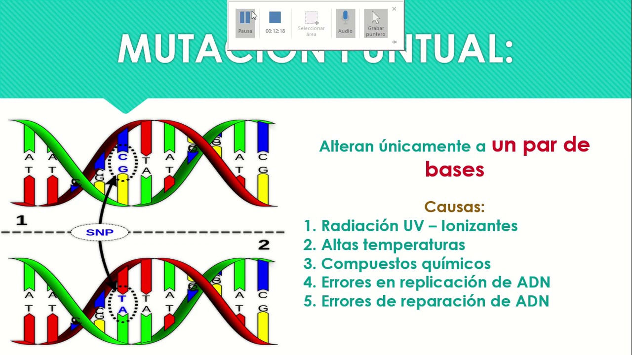 02. - Modificacion de la Informacion - Genetica - Clase 02 - YouTube