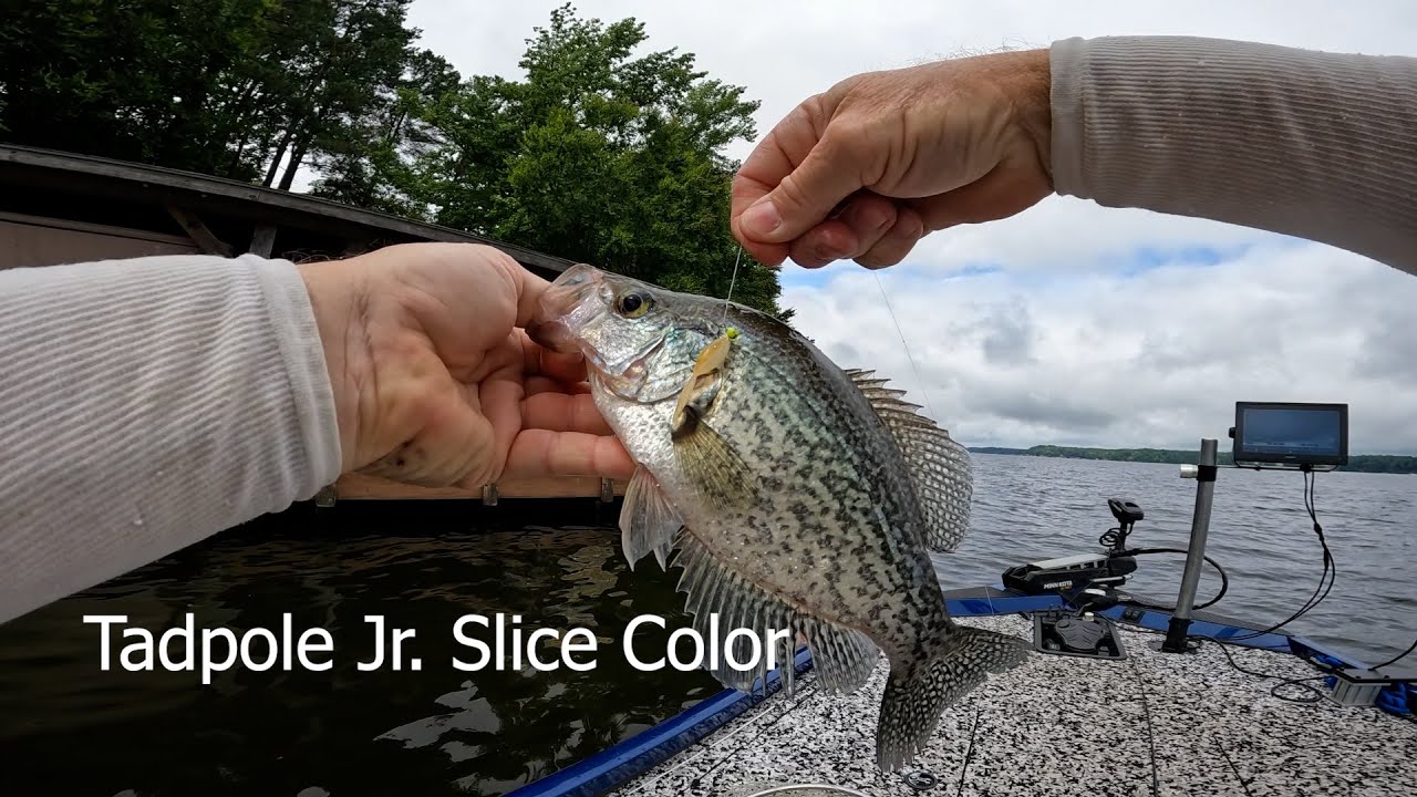 A Slice For Tadpole Jr. Pour To Catch - YouTube