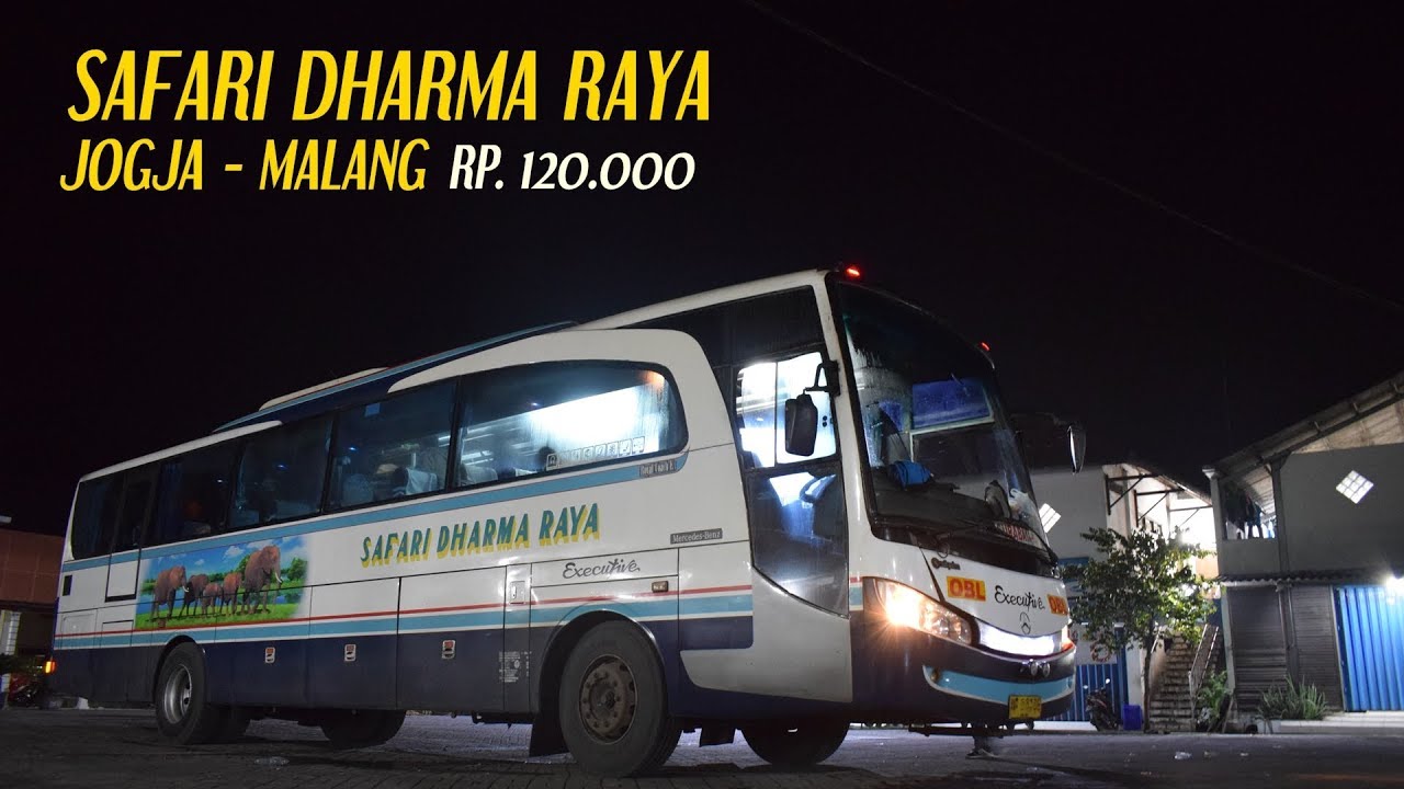 Bisa Selonjoran | Naik Bus Safari Dharma Raya (OBL) ke Malang - YouTube