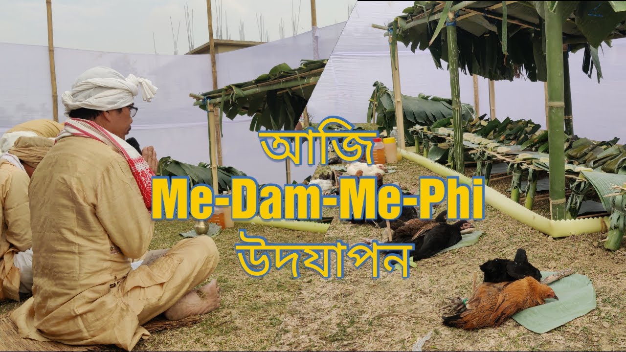 Me-Dam-Me-Phi festival ll Murviu Vlog - YouTube