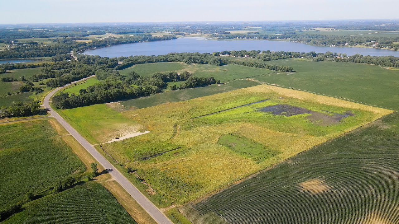Moore Engineering- Wetland Mitigation Banking Root Site - YouTube