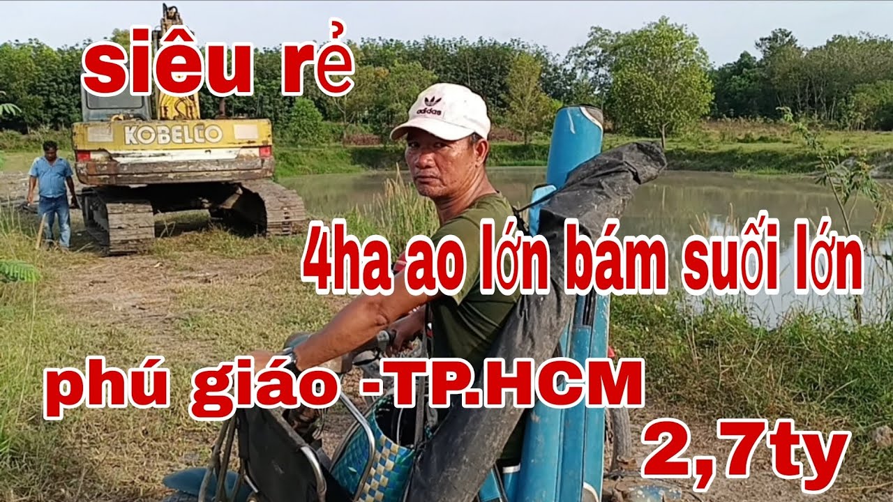 (Gấp) 4ha có 2 ao lớn bám suối giá siêu rẻ tại phú giáo - thành phố hồ ...