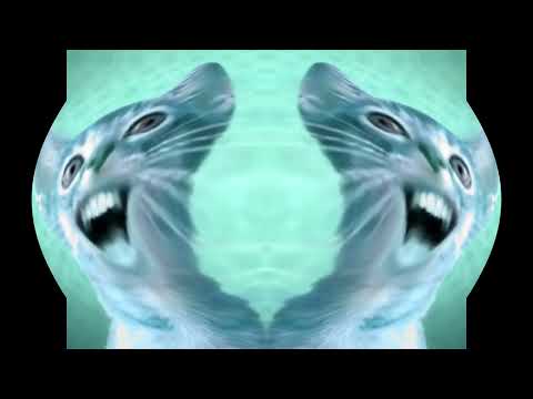 Numa Cat In ZooPals Effect V3