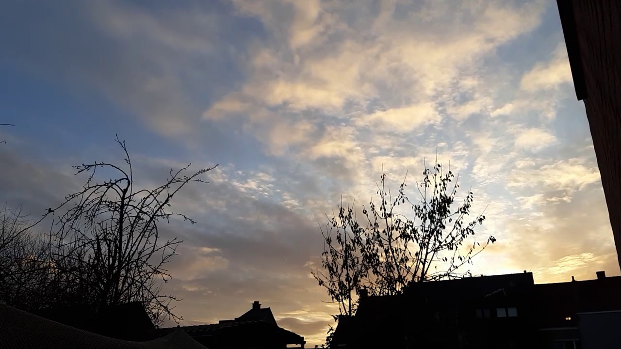 19 november 2020 - YouTube