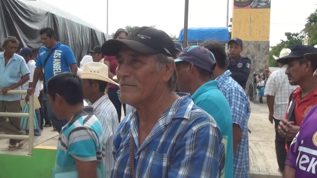 Cuautepec, Gro. Descoordinados inicia entrega de fertilizante. - YouTube