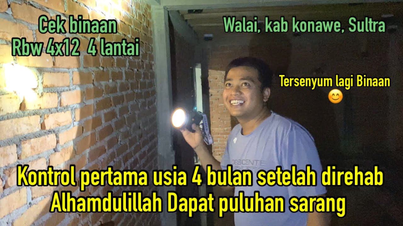 Walet barokah lintas Sulawesi - kontrol pertama usia 4 bulan - rbw yg banyak tunggu2 hasilnya. 😁 ...