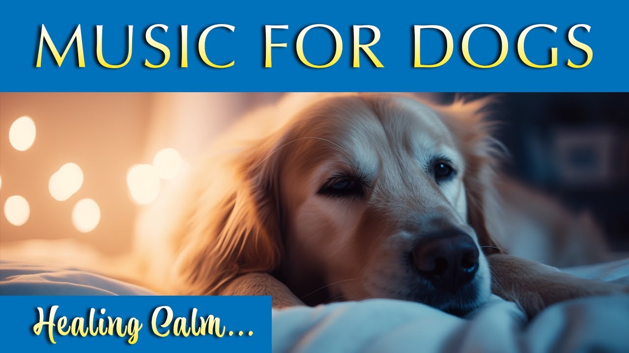 Healing Music for Stressed Dogs | Restore Balance and Harmony - YouTube