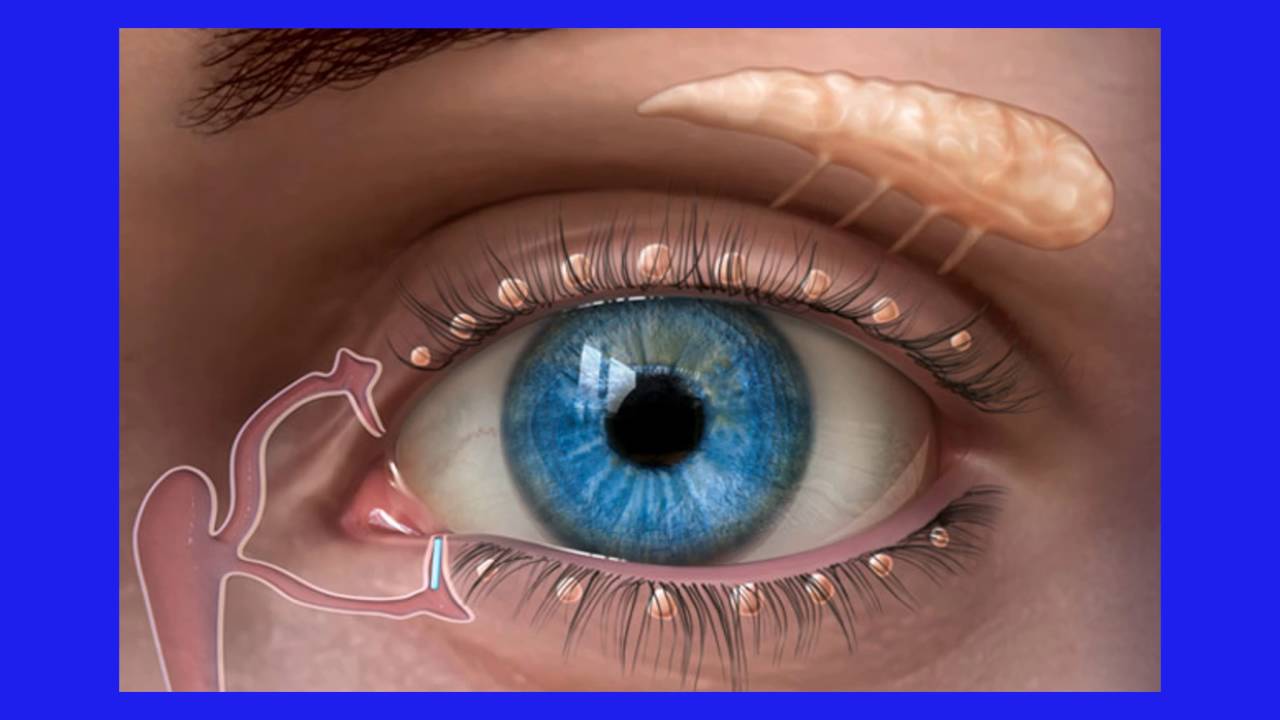 Dr. Sandy Cremers' September 2016 Presentation: Newest Diagnostic ...