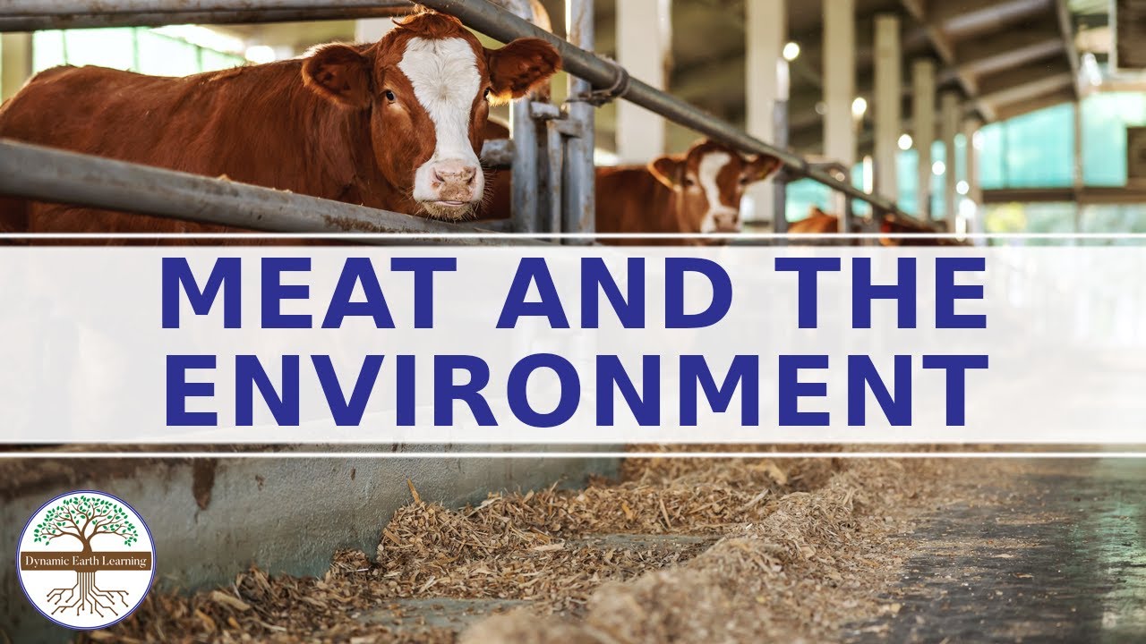 Science Videos - Dynamic Earth Lesson Plans