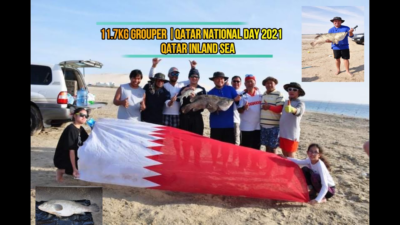 Huge 11.7kg Grouper Catch in Inland Sea | Qatar National Day 2021 - YouTube