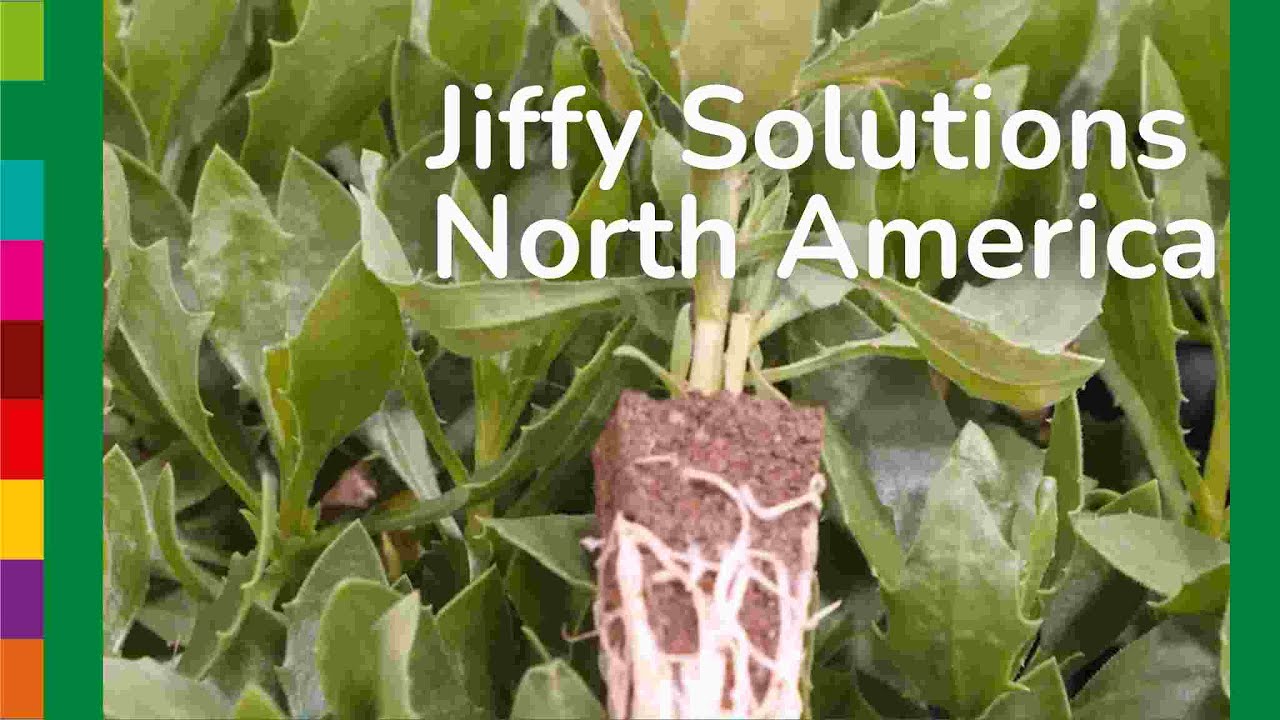 Jiffy Solutions for North America - YouTube